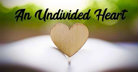 UNDIVIDED! – The Prayer Sentry