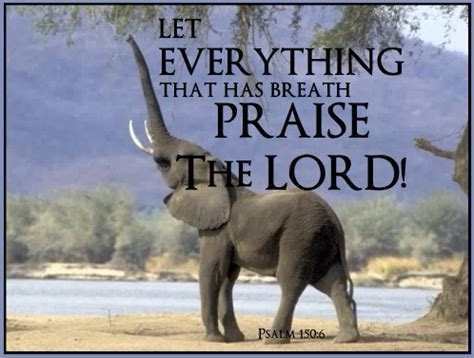 Can You Fog A Mirror? GIVE PRAISE TO GOD! – The Prayer Sentry